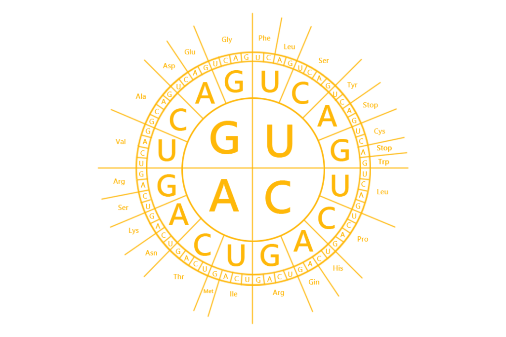 Codon Table - the-one.world